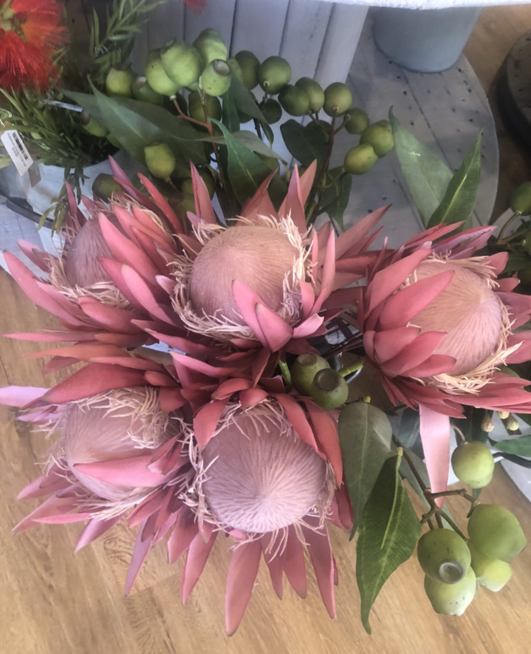 10 (+) of my fave photo apps for Social Media!! - www.thelotco.com.au/blog